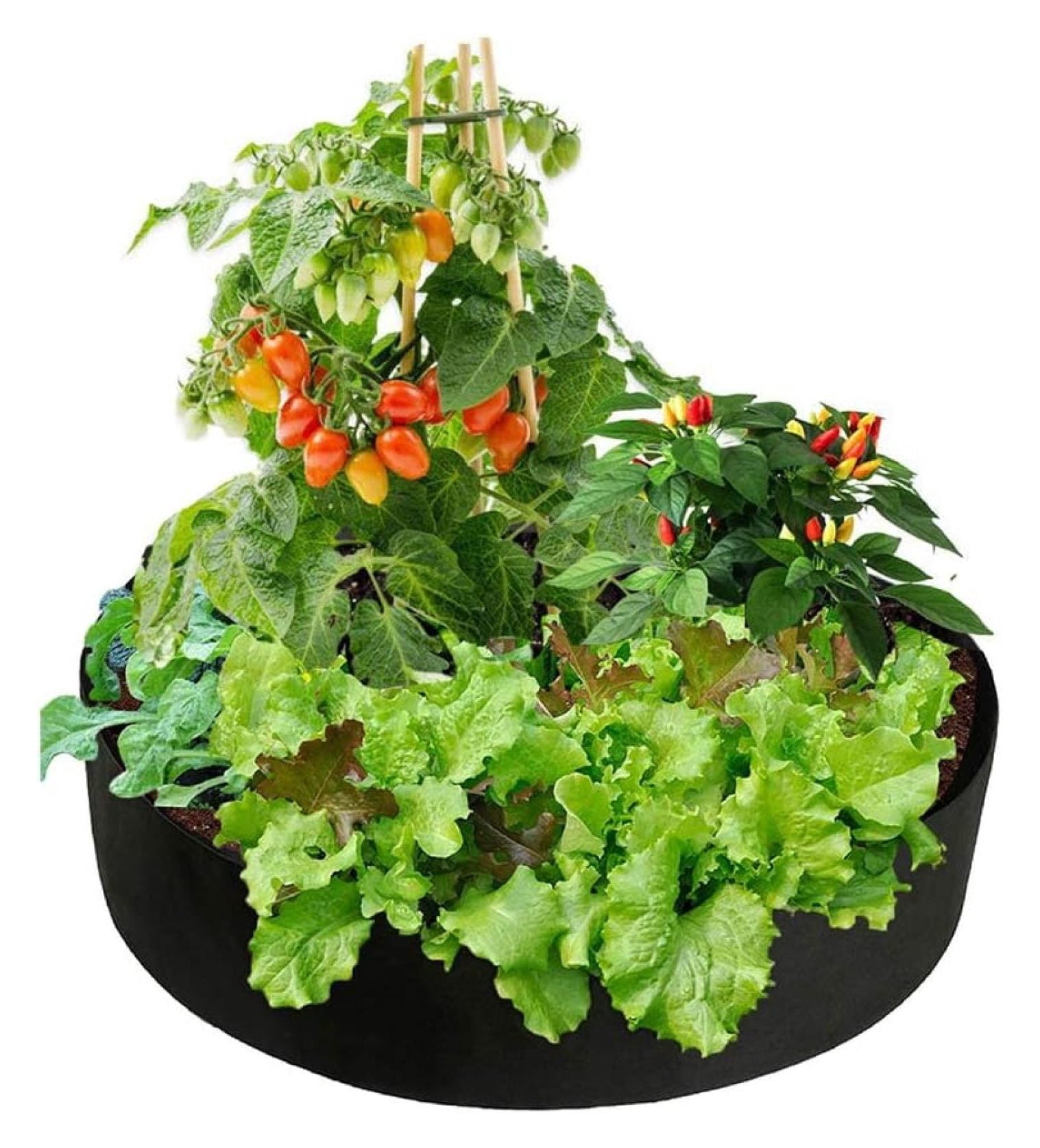 100 GallonLarge Fabric Raised Planting Bed Plant Growing Bags,Round ...