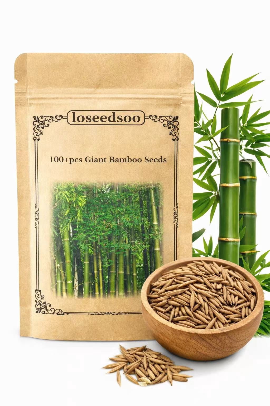 100+ Giant Bamboo Seeds – Fast Growing Bamboo Tree Seeds for Planting ...