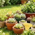 100 Heart Shaped Plastic Plants Labels Waterproof Reusable Garden ...