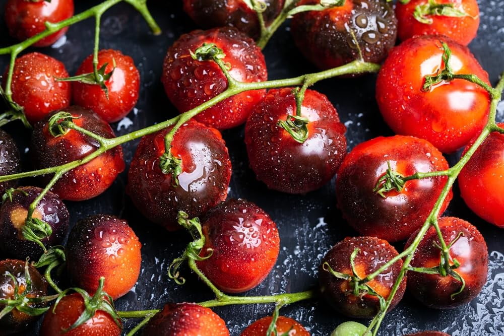 100 Midnight Cherry Tomato Seeds for Planting - Delicious and Easy to ...