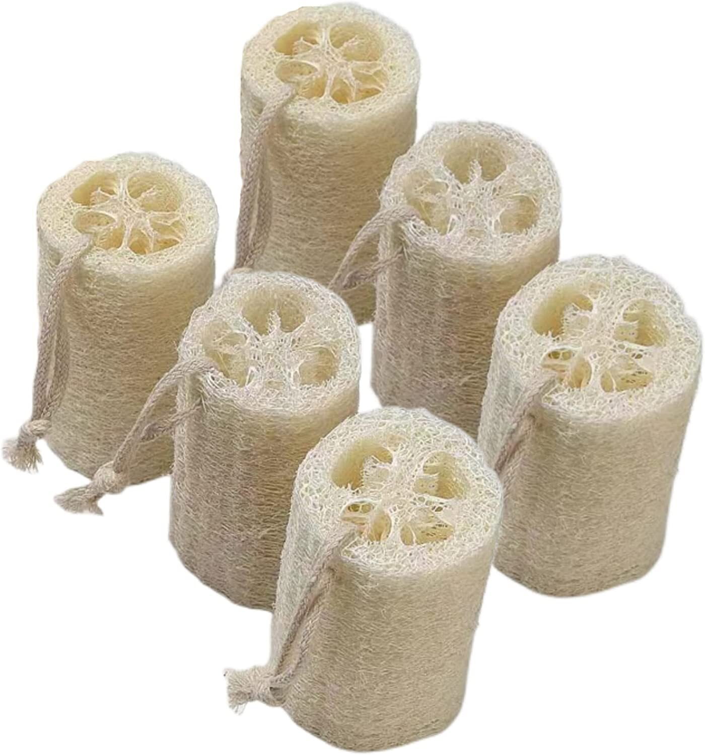100% Natural 6 Pack of 4 inch Organic Loofah Sponges Shower Loofah Spa ...