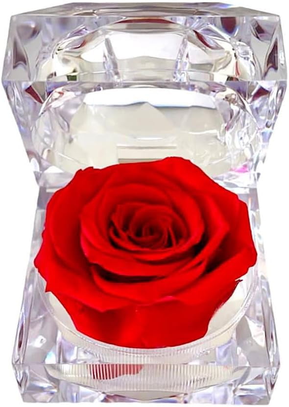 100% Natural Genuine Preserved Roses, Handcrafted Preserved Colombian ...