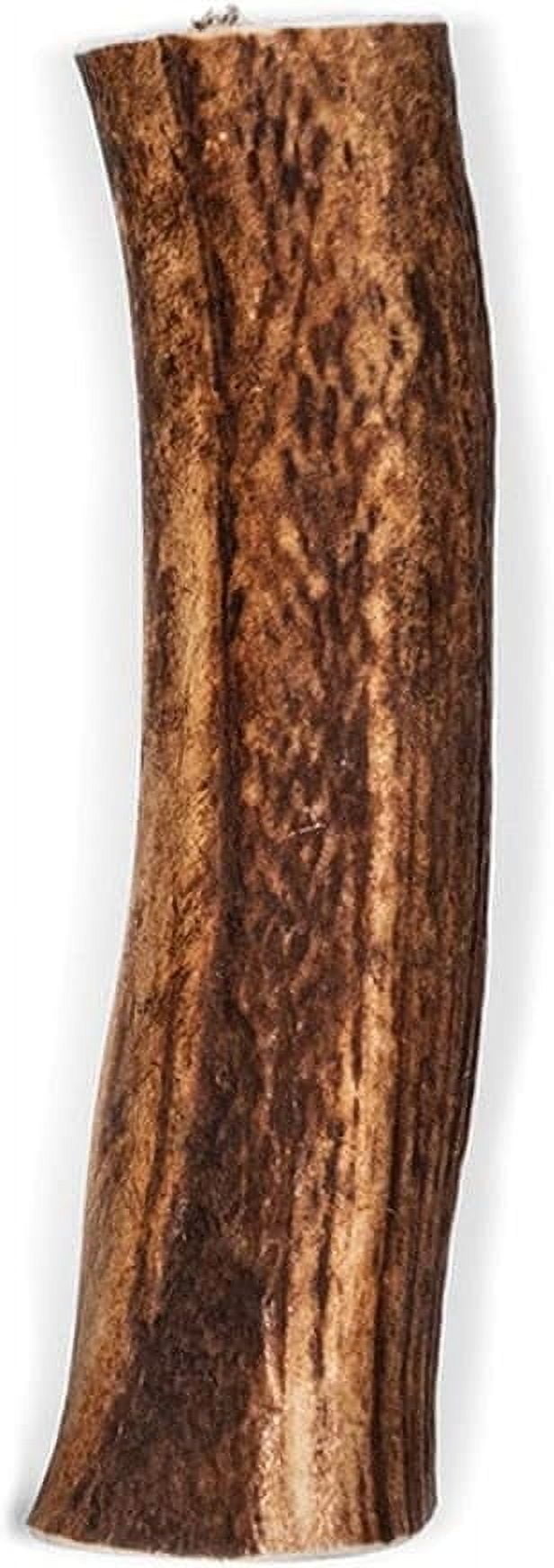 100% Natural Grade A Premium Whole Deer Antler Dog Chew (Large ...