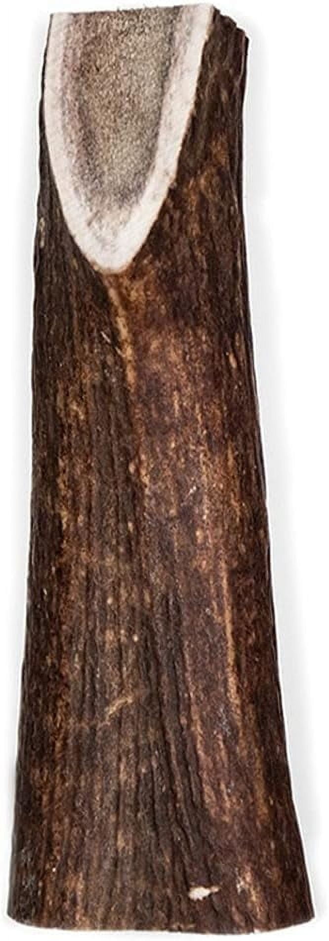 100% Natural Grade A Premium Whole Deer Antler for Dogs - Long-Lasting ...