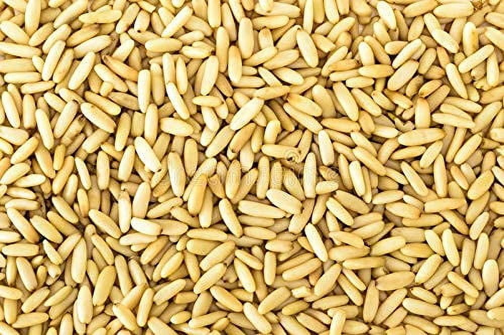 100% Natural Pine Nuts Chilgoza By Being Marwari 10gm, | Rich In ...