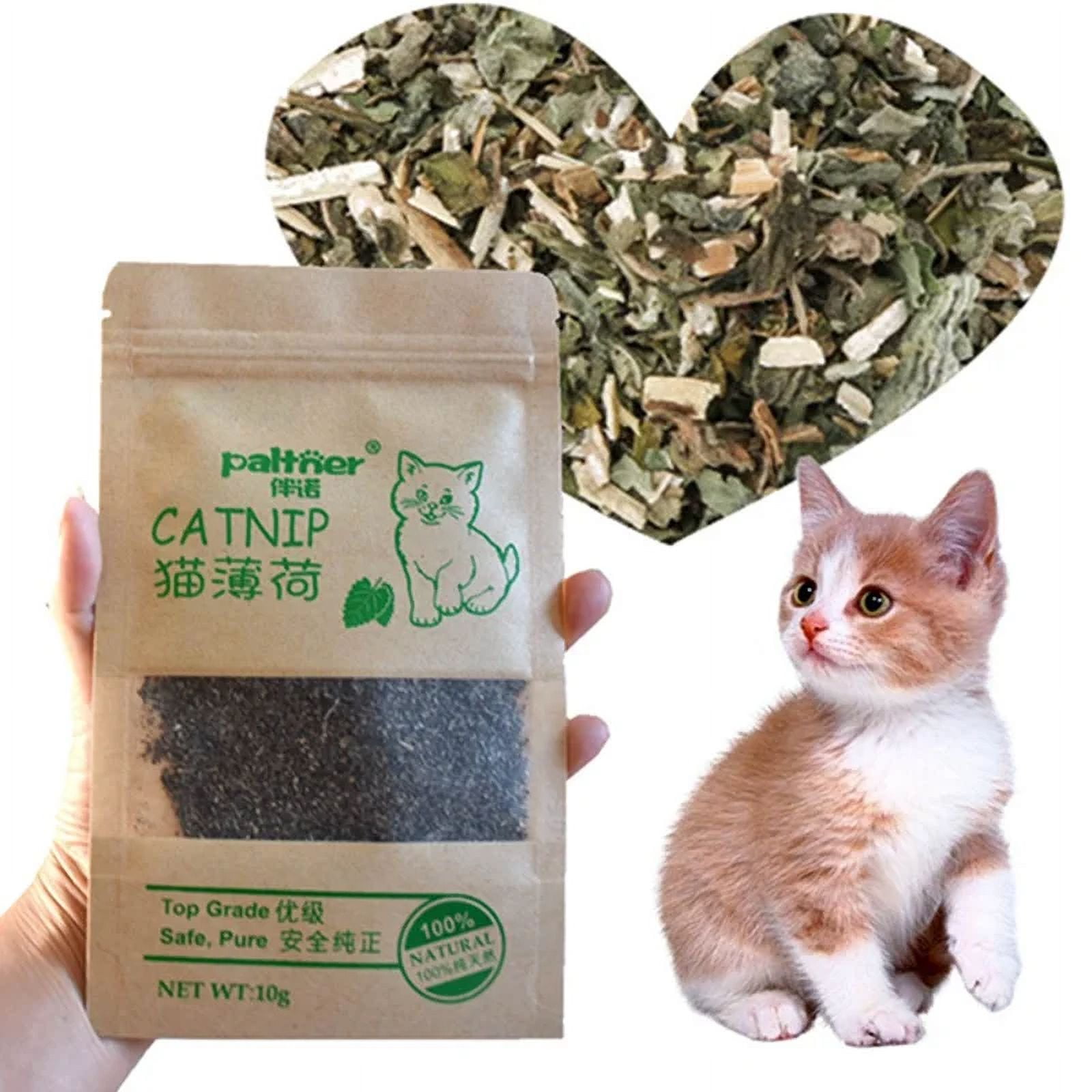 100% Natural Premium Catnip Cattle Grass Interactive Cat Non-toxic 10g Menthol Flavor Funny Cat ...