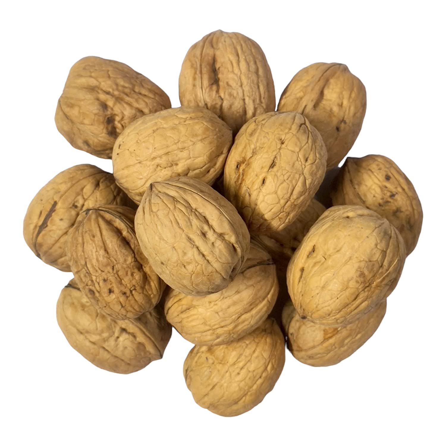 100% Natural Walnut Inshell Jumbo Size Akhrot By Natural N Tasty 400gm, | Nutritious & Delicious ...