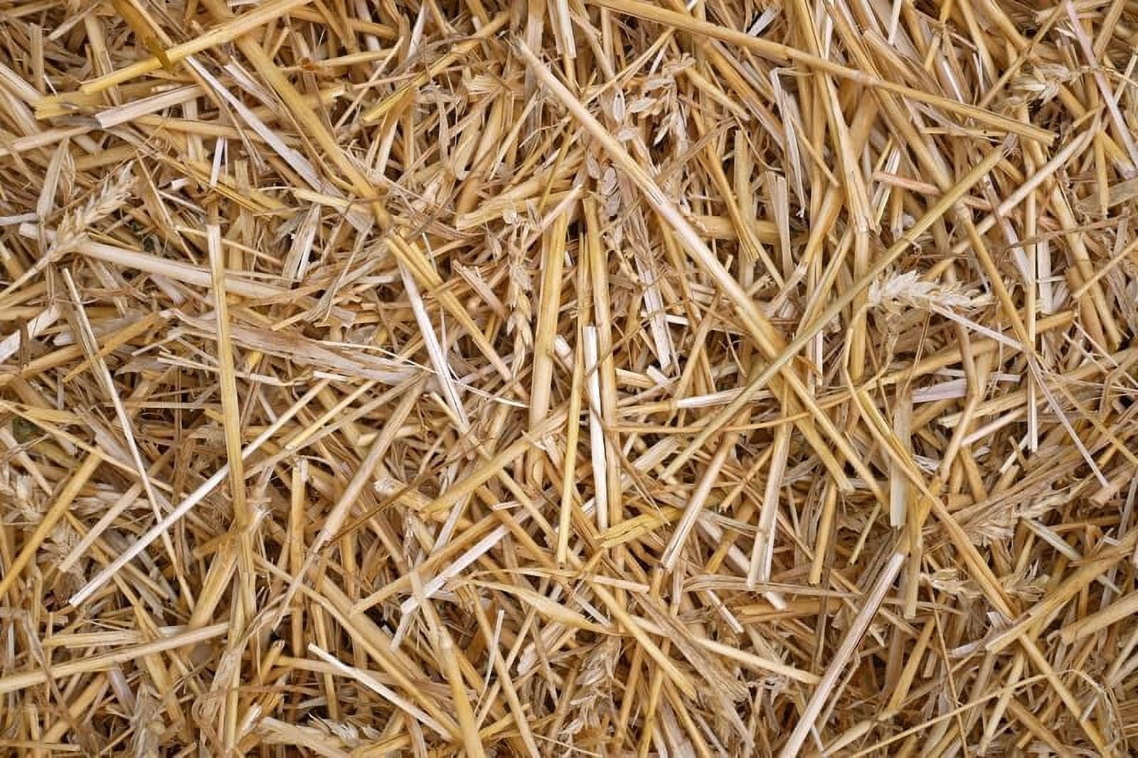 100% Natural Wheat Straw for Animal Bedding, Garden Mulch, Compost ...