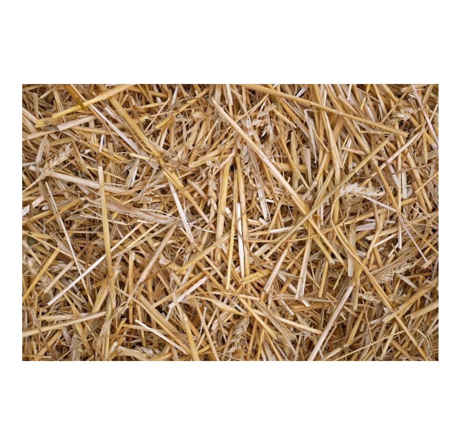 100% Natural Wheat Straw for Animal Bedding, Garden Mulch, Compost ...