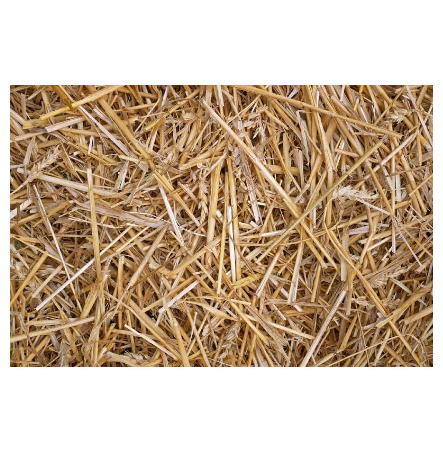 100% Natural Wheat Straw for Animal Bedding, Garden Mulch, Compost ...