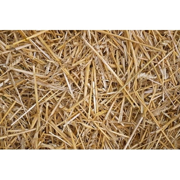 Rhino Seed EZ Straw 1 Cubic Foot Seeding Mulch Premium Processed Straw ...