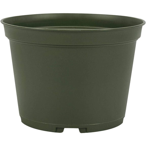 Azalea Pots