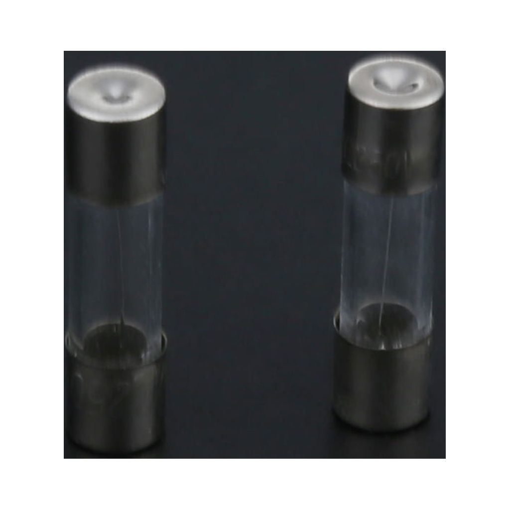 100 PCS 250V Mini Fuse Glass Tube Replacement Fuse Universal Cartridge ...