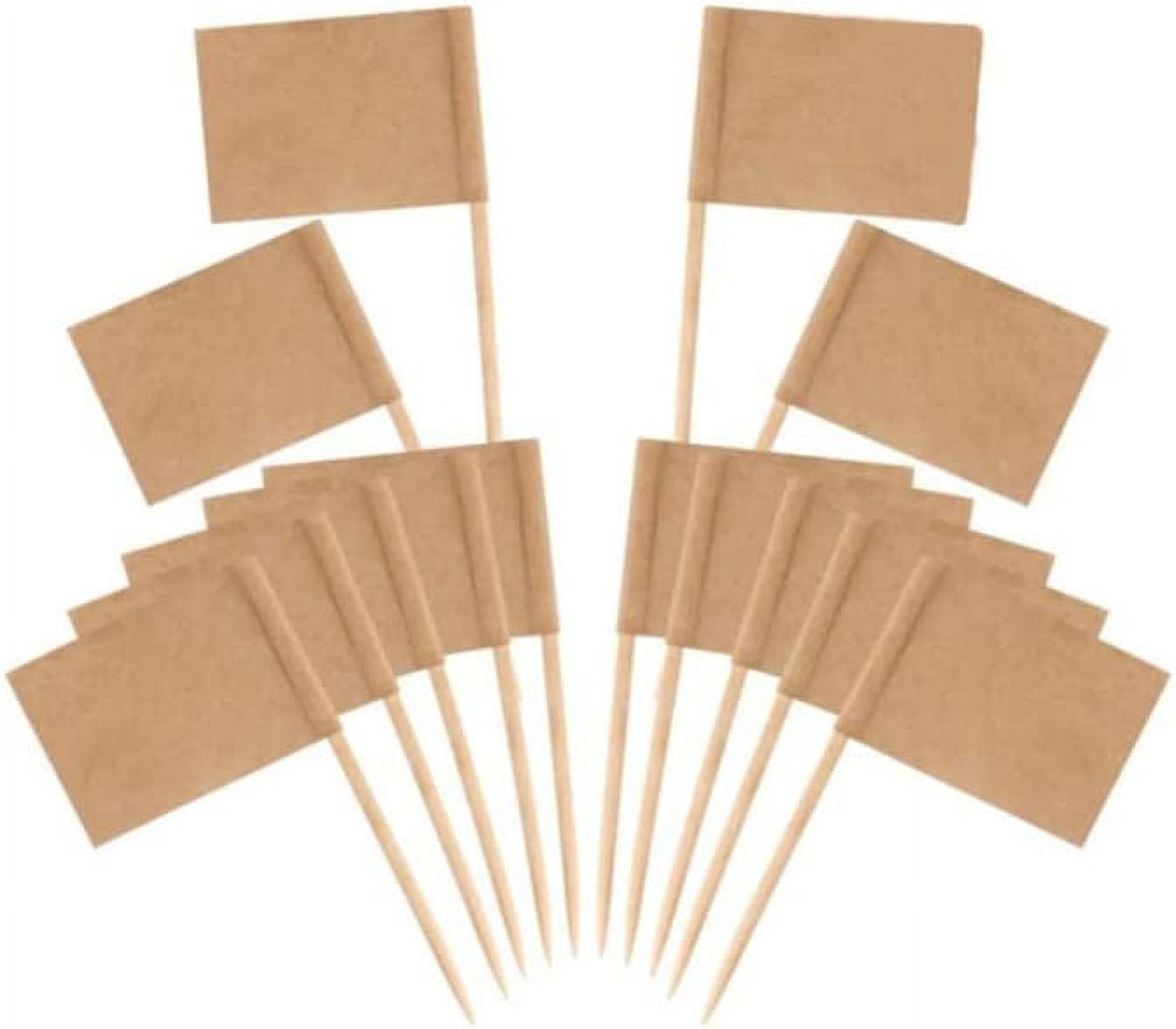 100 PCS Blank Toothpick Flags,cupcake Toppers Appetizers Flag Small ...