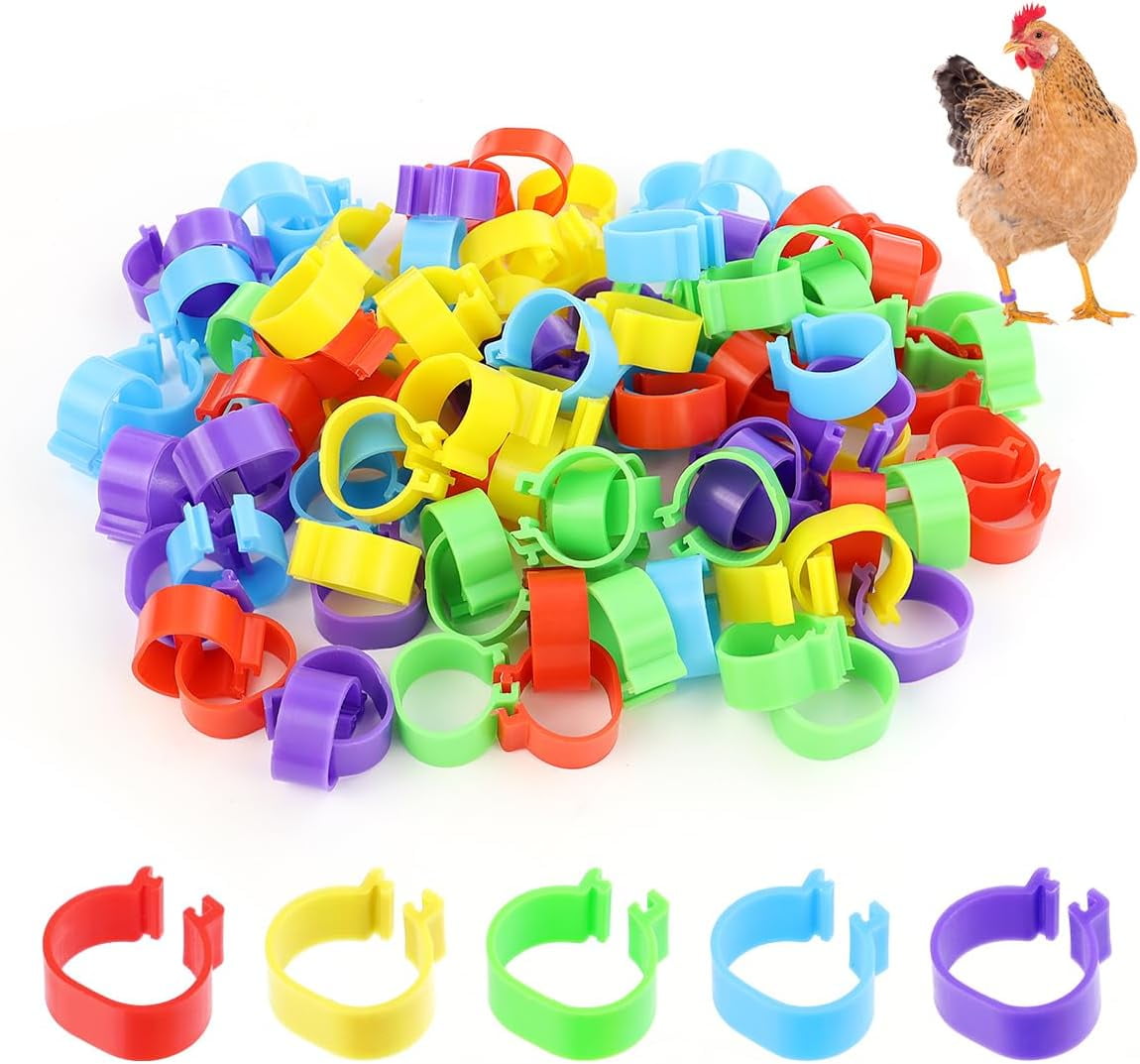 100 PCS Chicken Identification Band 5Color Chicken Leg Rings 16mm ...