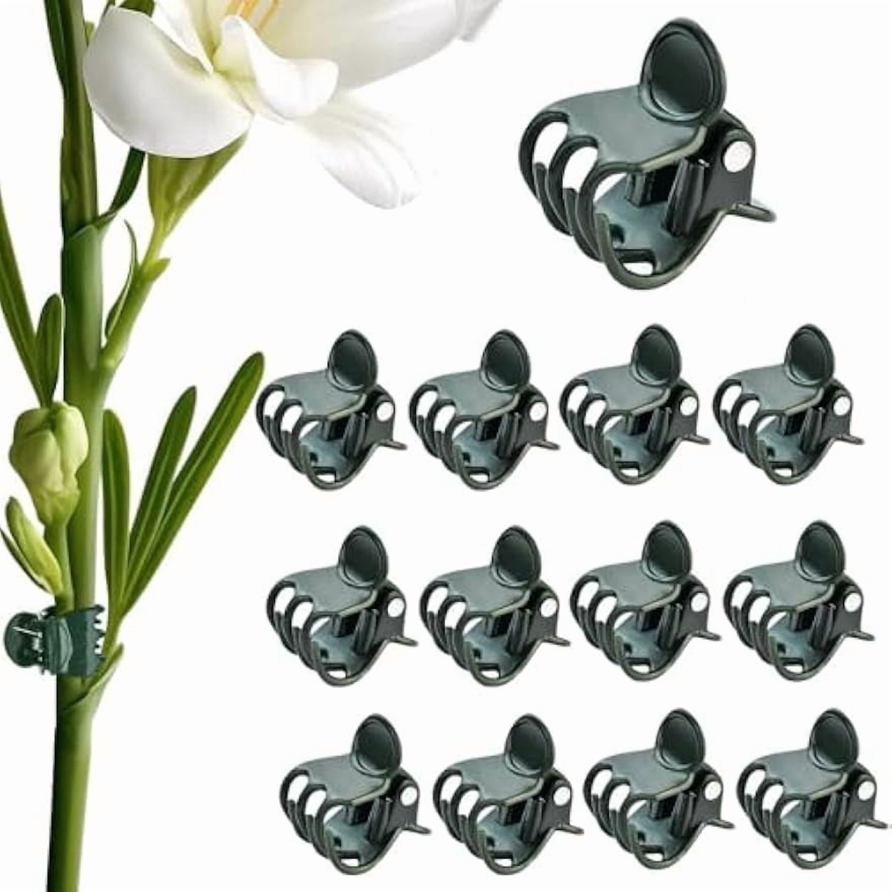 100 PCS Plant Clips, 2025 Upgrade Orchid Clips for Plants Support ...