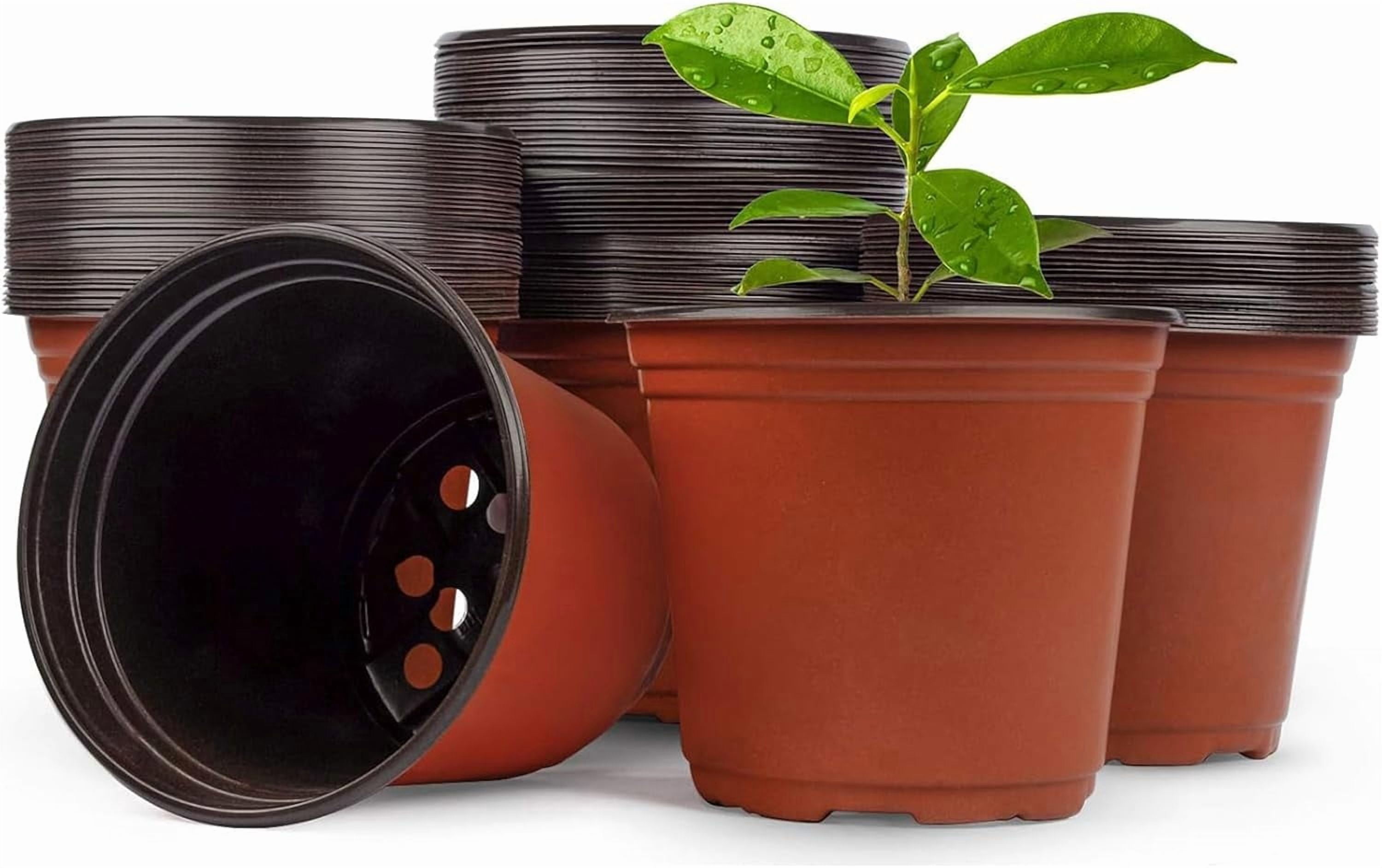 100 PCS Plastic Nursery Pots 6 Inch Seed Starting Pots for Succulents ...
