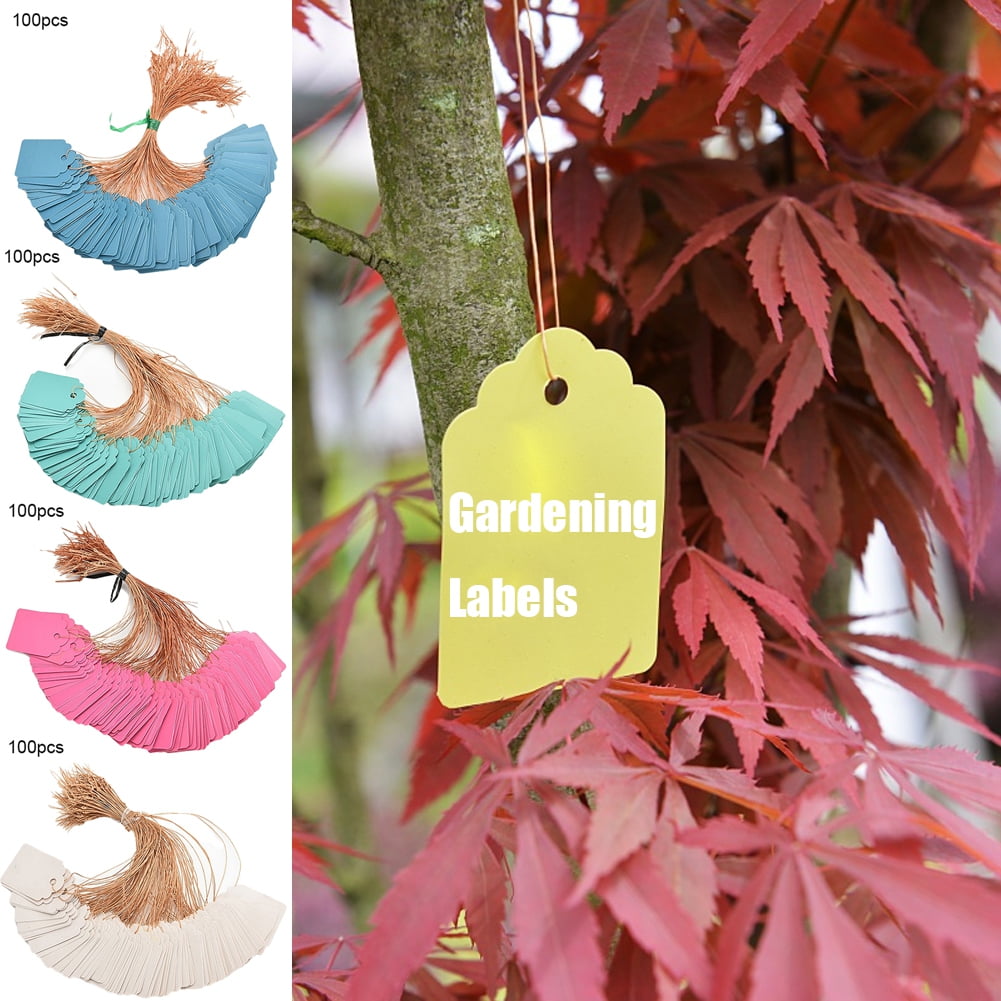 tree identification labels