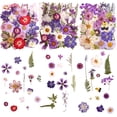 100 PCS Purple Real Pressed Dried Flowers and Leaves with Tweezers ...