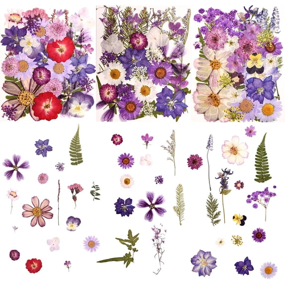 100 PCS Purple Real Pressed Dried Flowers and Leaves with Tweezers ...