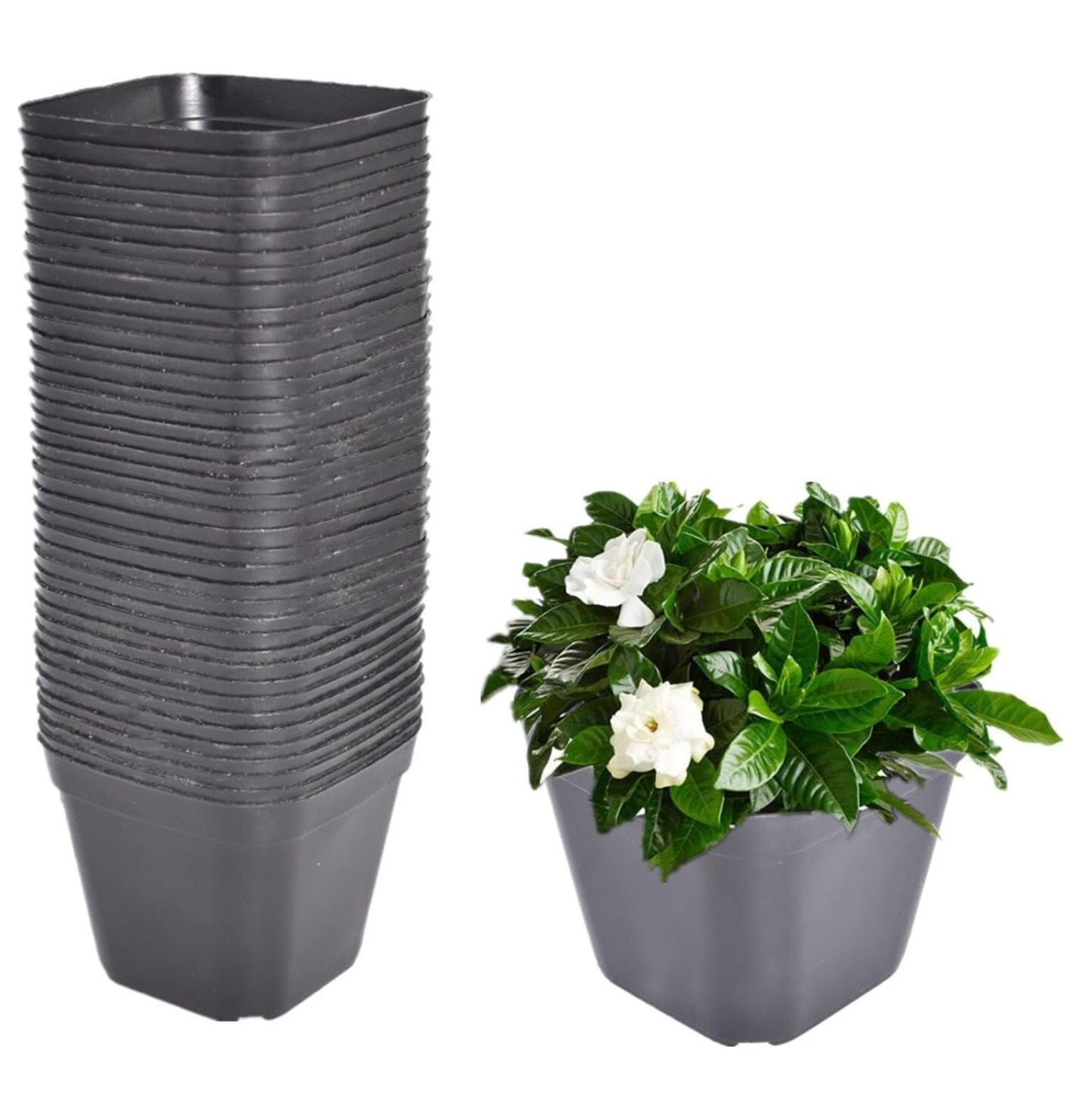 100 PCS Square Plastic Plant Nursery Pots, Seedling Flower Plant ...