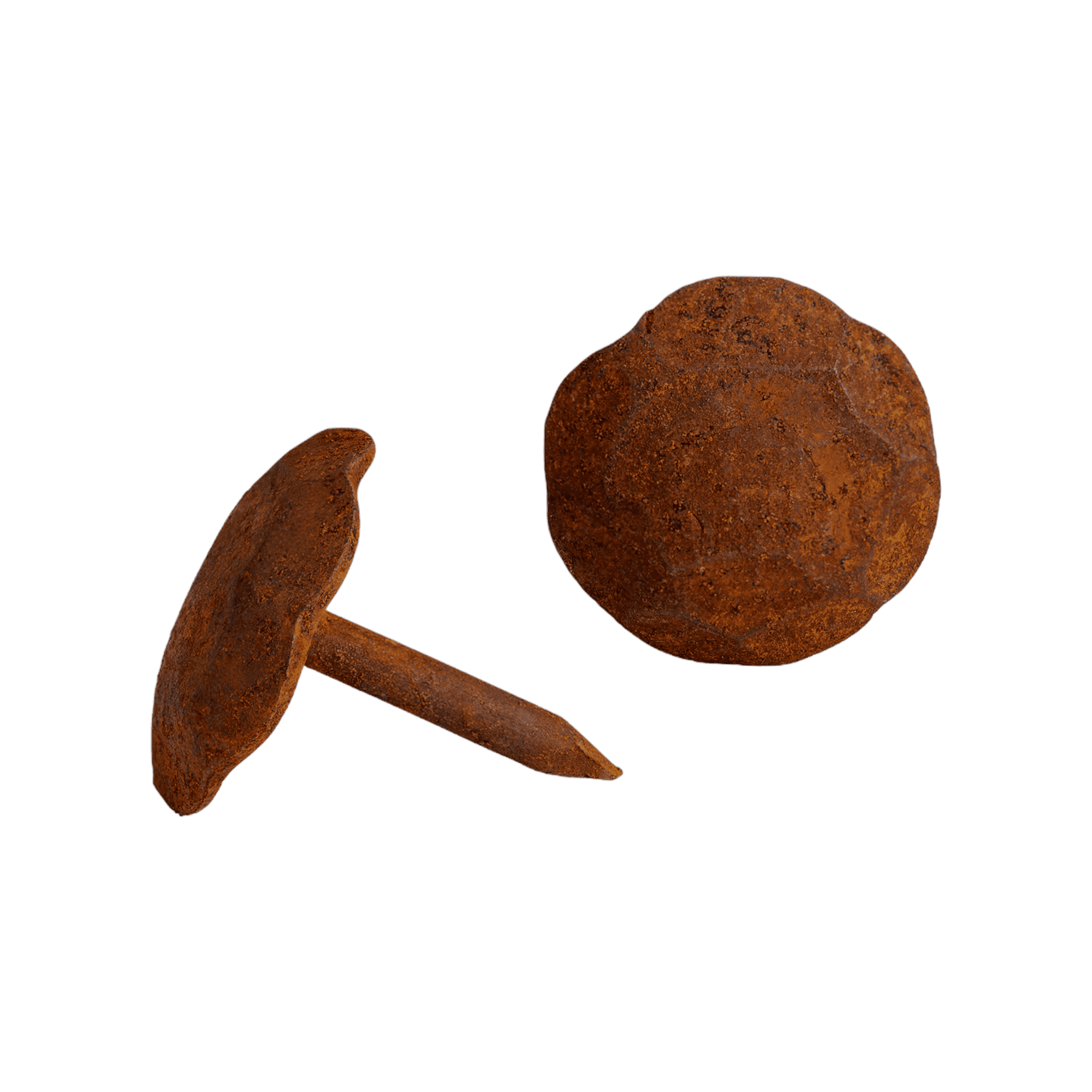 100 Pack 0.75 Inch Rusted Finish Decorative Door Nail Clavos By ...