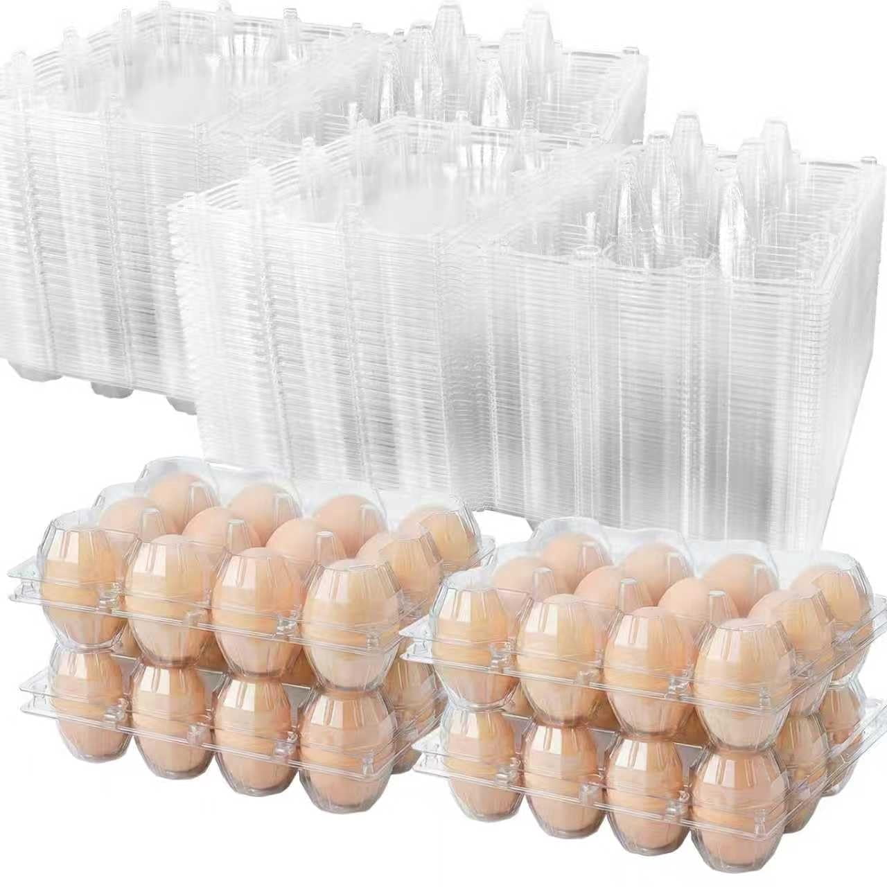 100 Pack 12 Count Clear Plastic Egg Cartons, Bulk Reusable Egg Holder ...