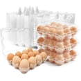 100 Pack 3x4 Plastic Egg Cartons Bulk 12 Count Clear, Reusable ...