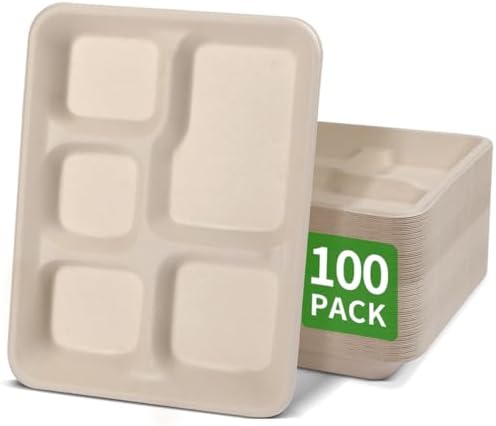 100 Pack 5 Compartment Paper Plates, 10 x 8 inch Disposable Lunch Trays ...