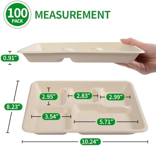 100 Pack 5 Compartment Paper Plates, 10 x 8 inch Disposable Lunch Trays ...
