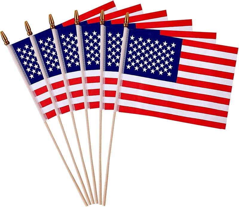 100 Pack 5x8 Inch Small American Flags on Stick,Mini Flags/US Handheld ...