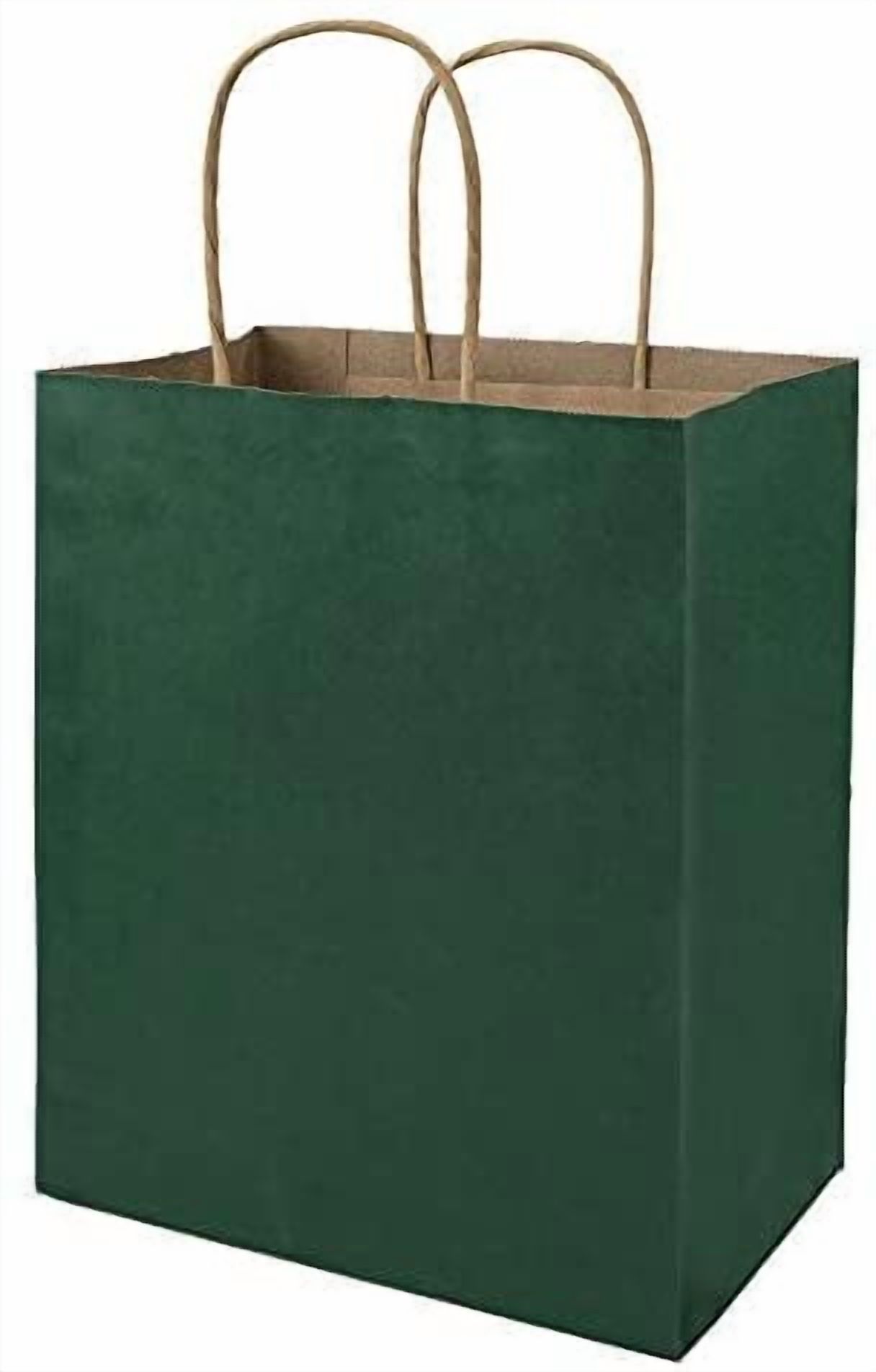100 Pack 8x4.75x10 Inch Medium Green Gift Paper Bags with Handles Bulk ...