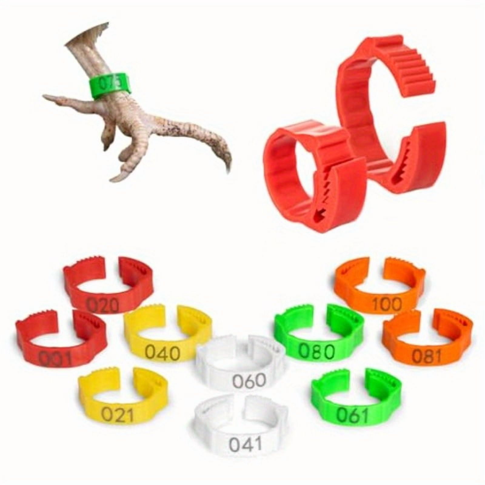 100-Pack Adjustable Chicken Leg Bands, 5-Color Poultry ID Markers with ...