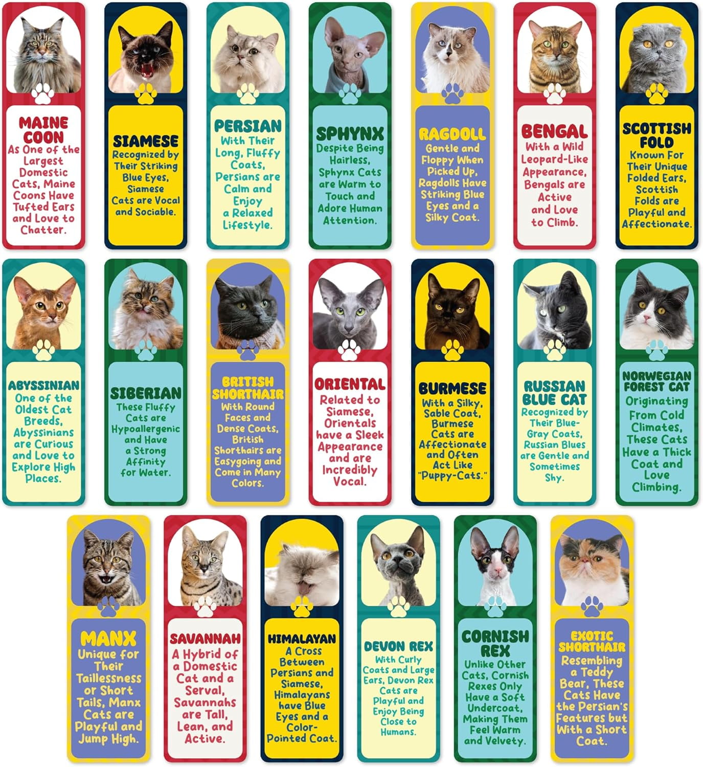 100 Pack Bookmarks for Kids, Bulk Book Marks for Reading with Cute Real ...