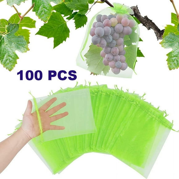Fruit Protection Bags