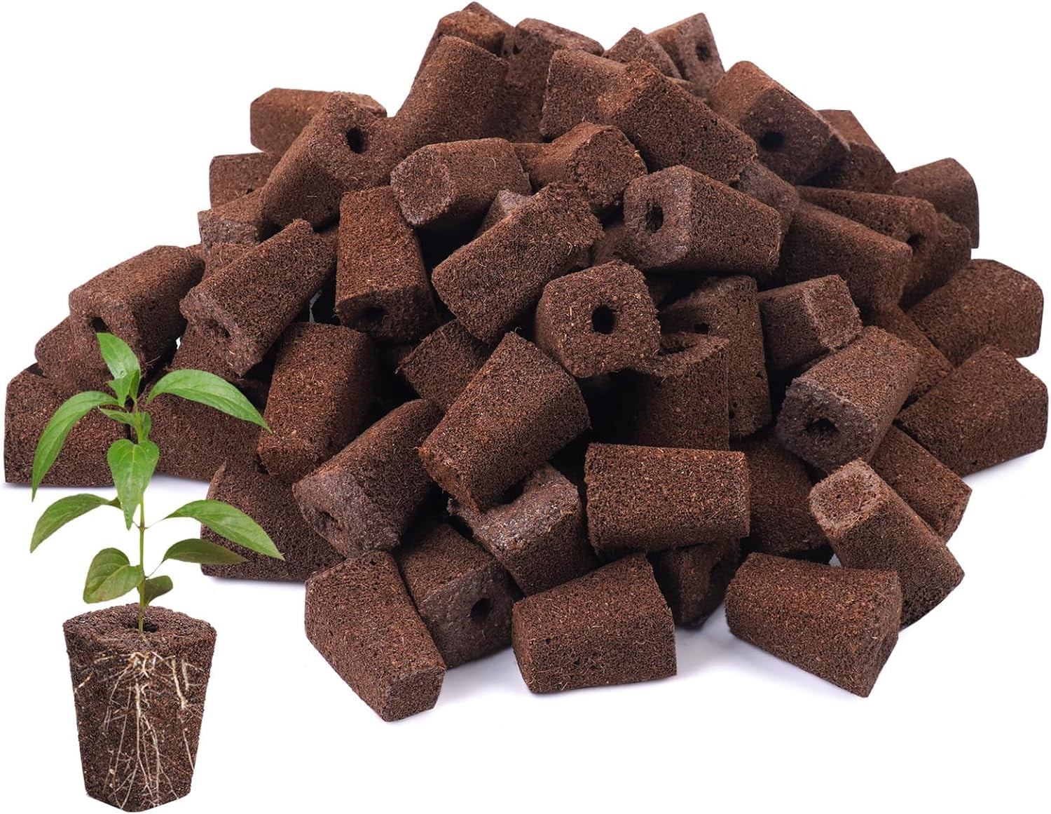 100 Pack Grow Sponges, Replacement Root Growth Sponges Seed Pods ...