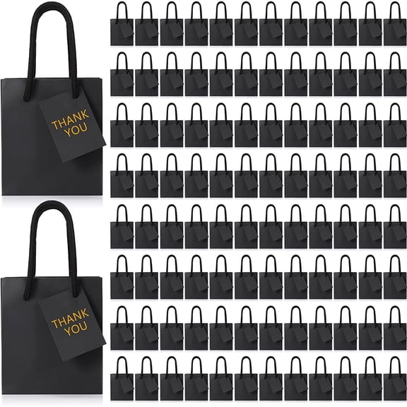 100 Pack Resealable Dazzling Bags For Small Business 4 X 6inch ...