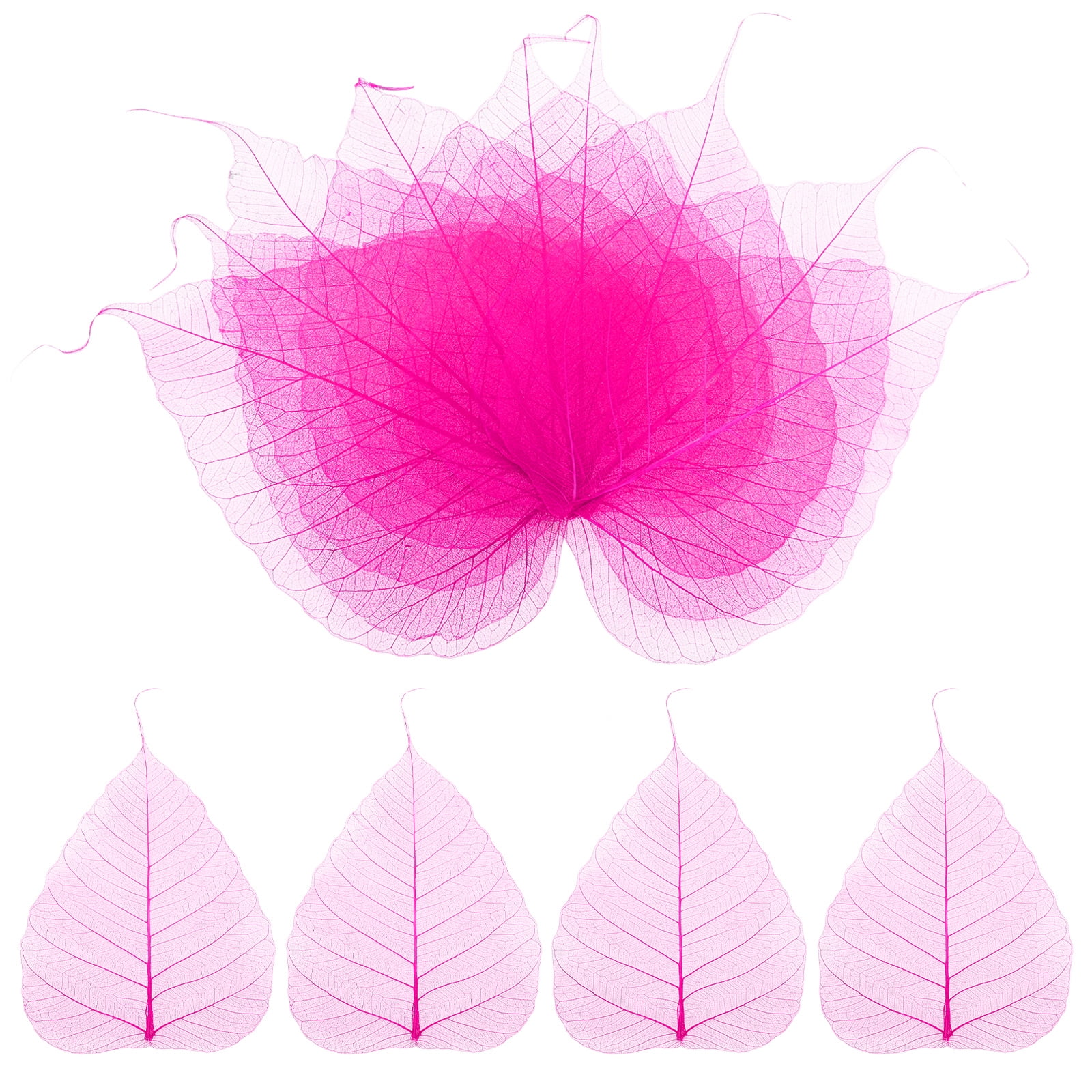 100-Pack Skeleton Leaves, Natural Dried Pressed Bodhi Skeleton Leaves ...