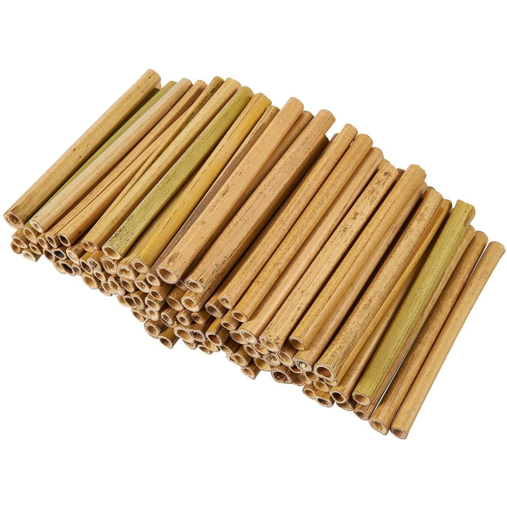 Dried Bamboo Sticks