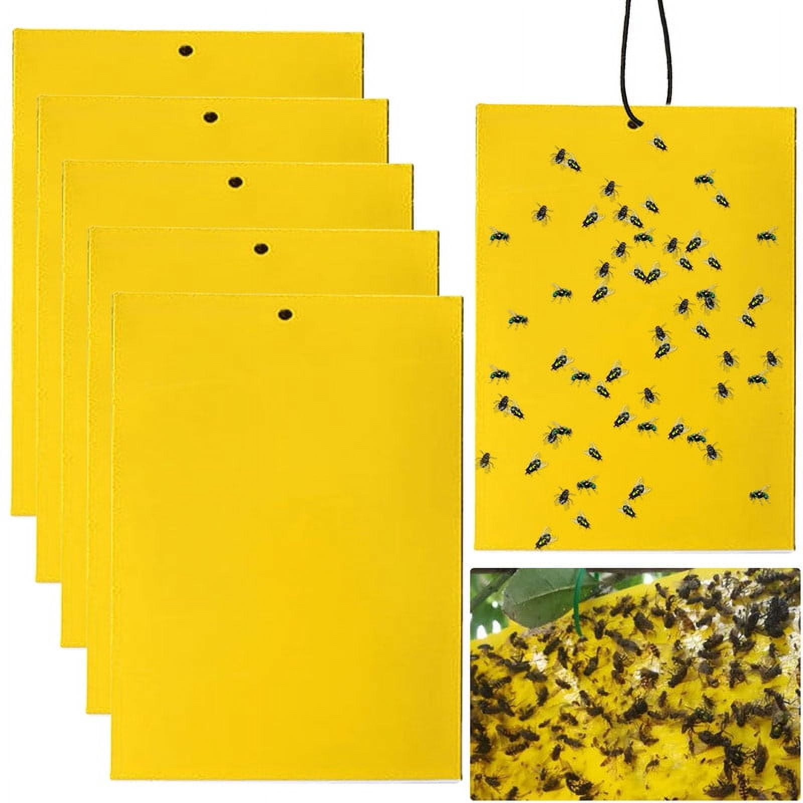 100 Pack Yellow Sticky Traps, Gnat Trap, Gnat Killer, Fruit Fly Paper ...