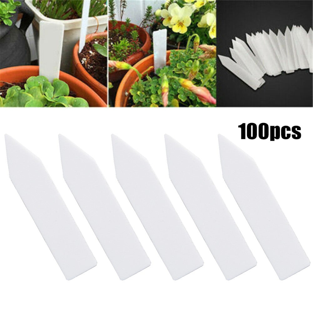 100 Pcs 2x0.4 Inches Plant Labels Plastic Plant Tags Nursery Garden ...