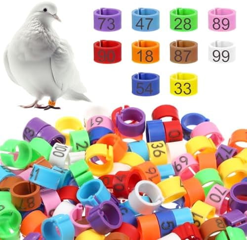 100 Pcs 8mm Birds Leg Rings, Colorful Readable Numbered Pigeons Quail ...