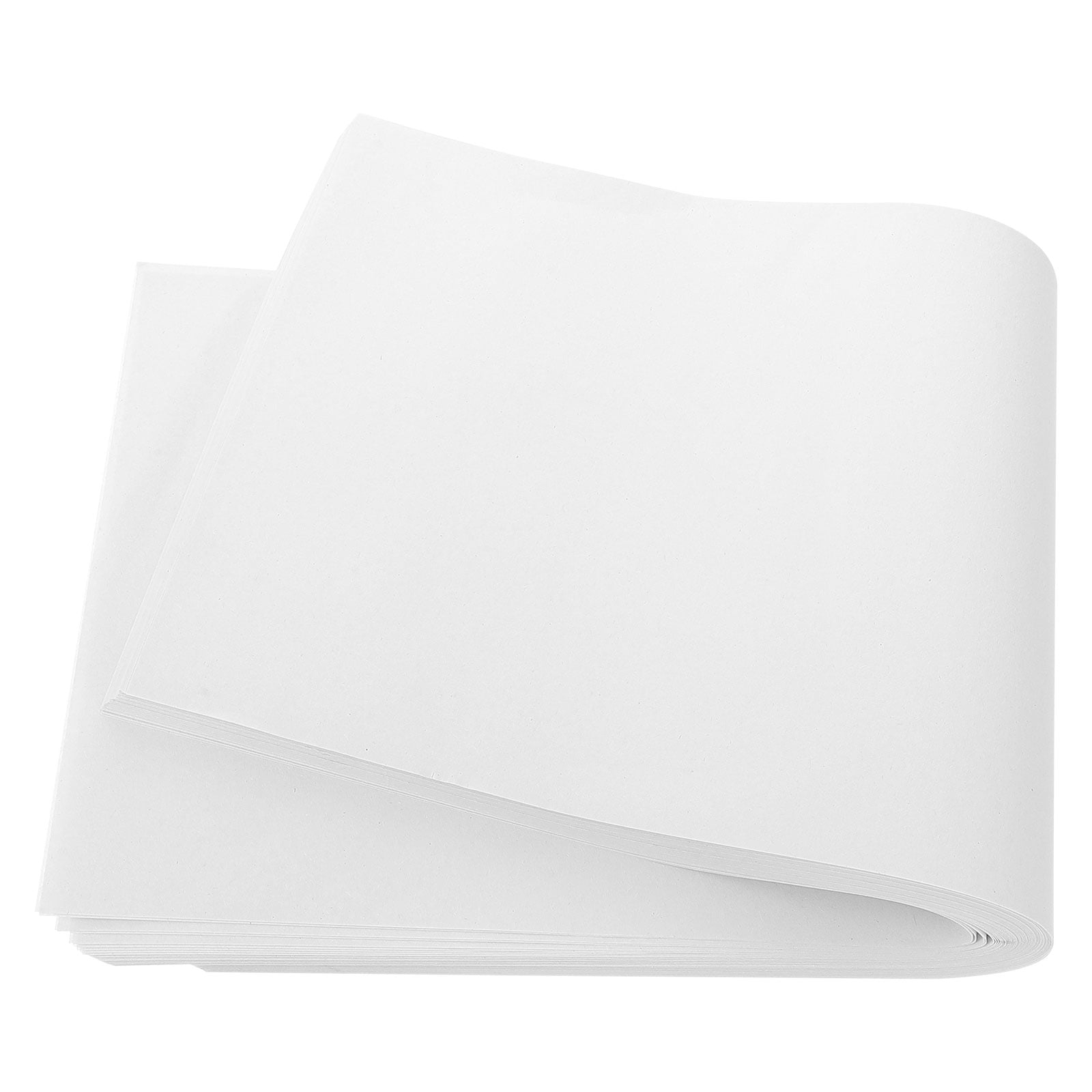 100 Pcs Bean Sprouts Plants Germinating Paper Mung Bean Planting Paper ...