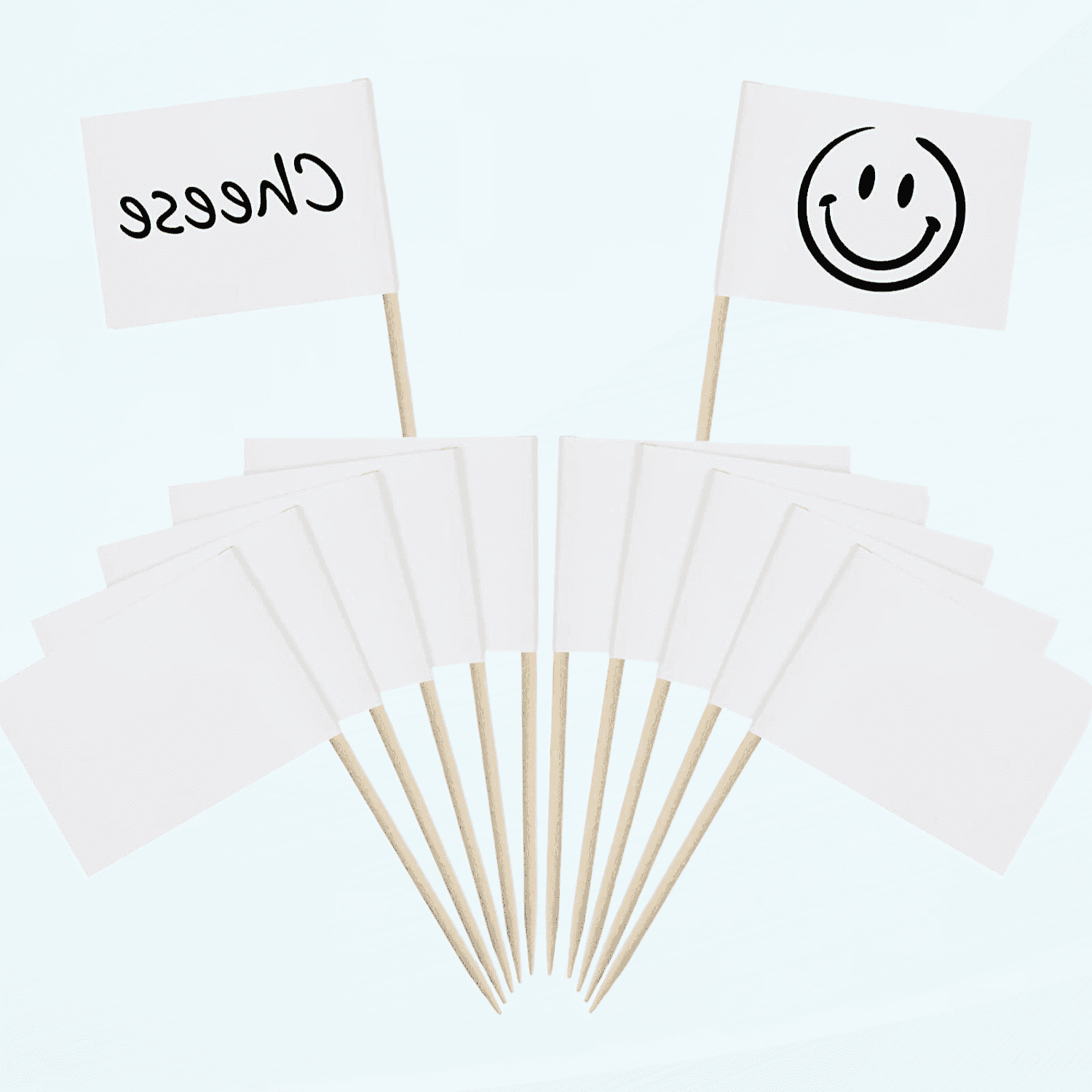 100 Pcs Blank Toothpick Food Flags for Buffets to Write On, Party Food ...