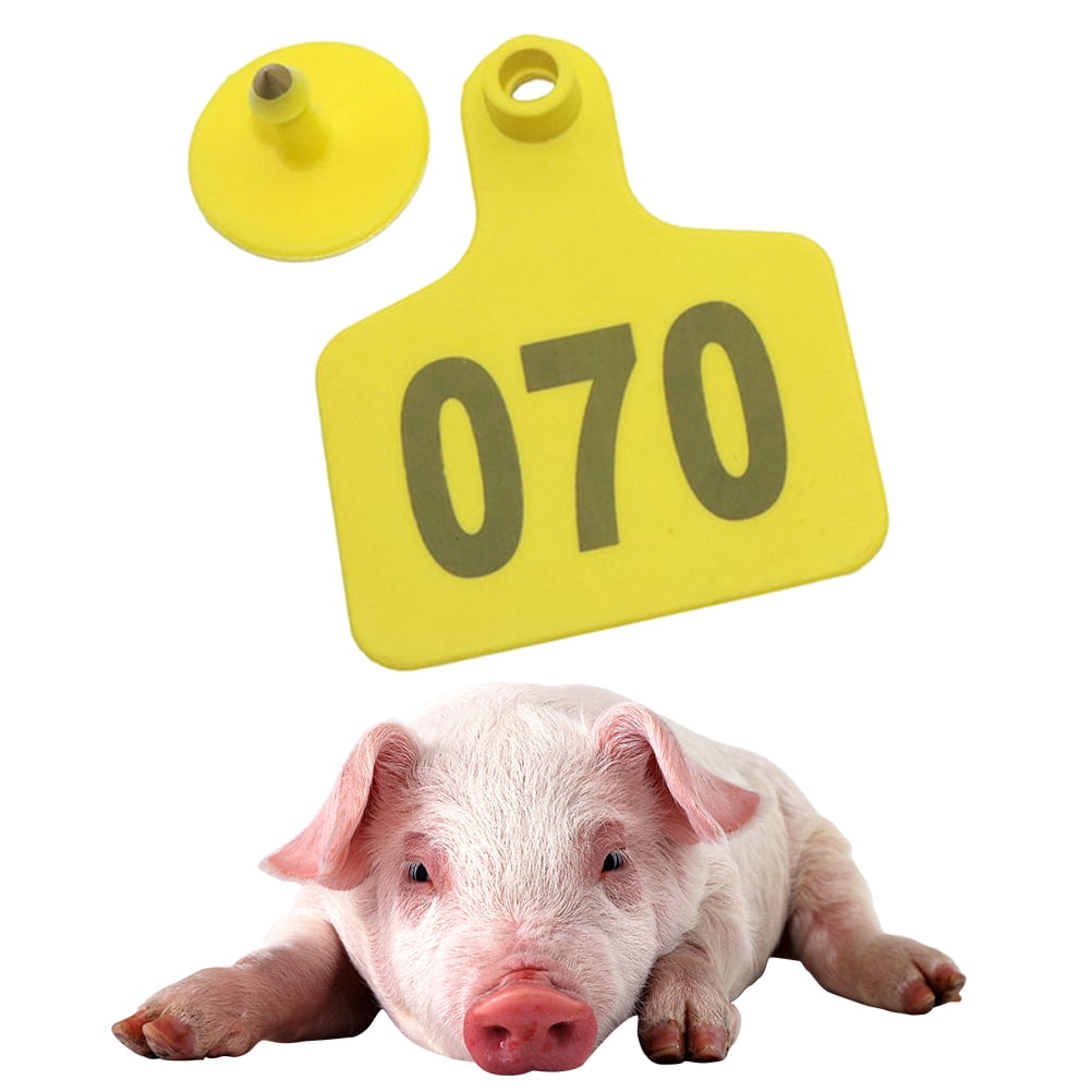 100 Pcs Cattle Fly Tags Goat Ear Animal Identification - Walmart.com
