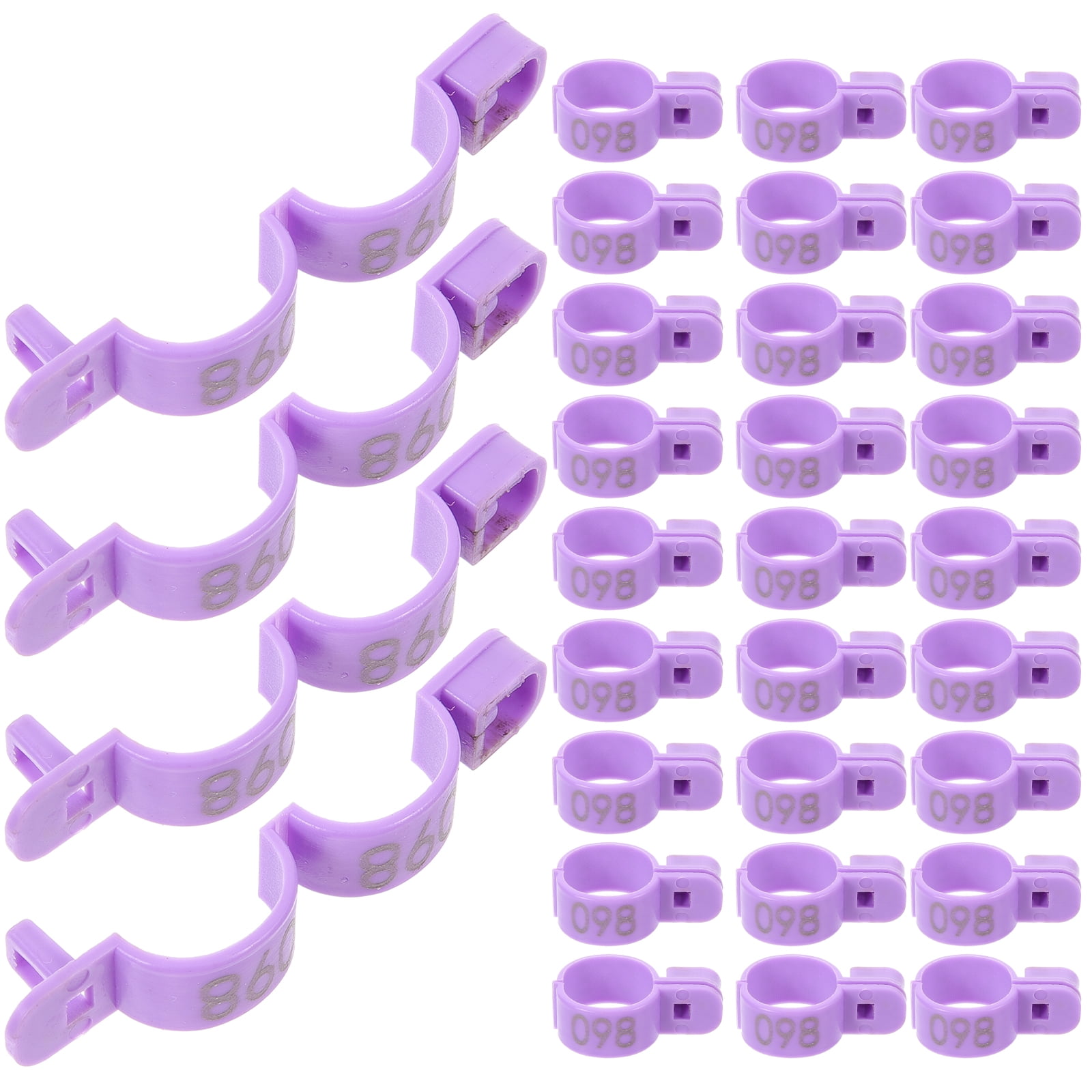 100 Pcs Chicken Tags for Legs Labels Bird Accessories Identification ...