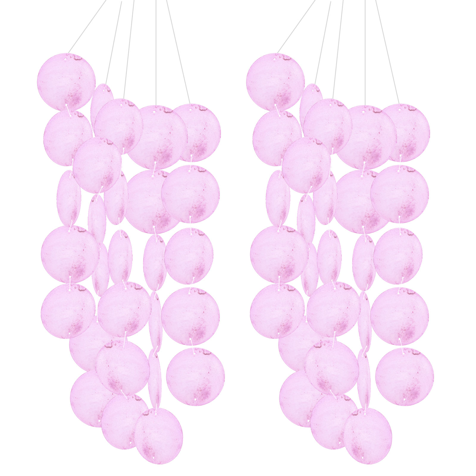 100 Pcs Coin Flat Shell Shells Decorative Pieces Dream Catcher ...