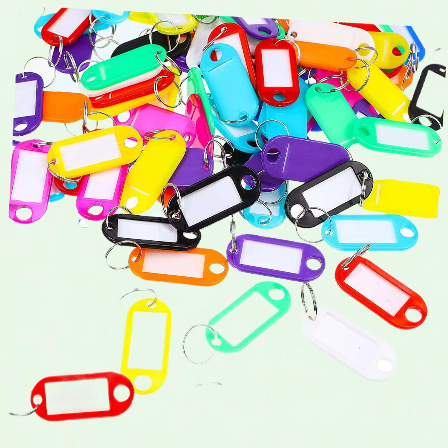 100 Pcs Color Plastic Key Tags, Blank Labels, Colored Tabs - Keychains ...