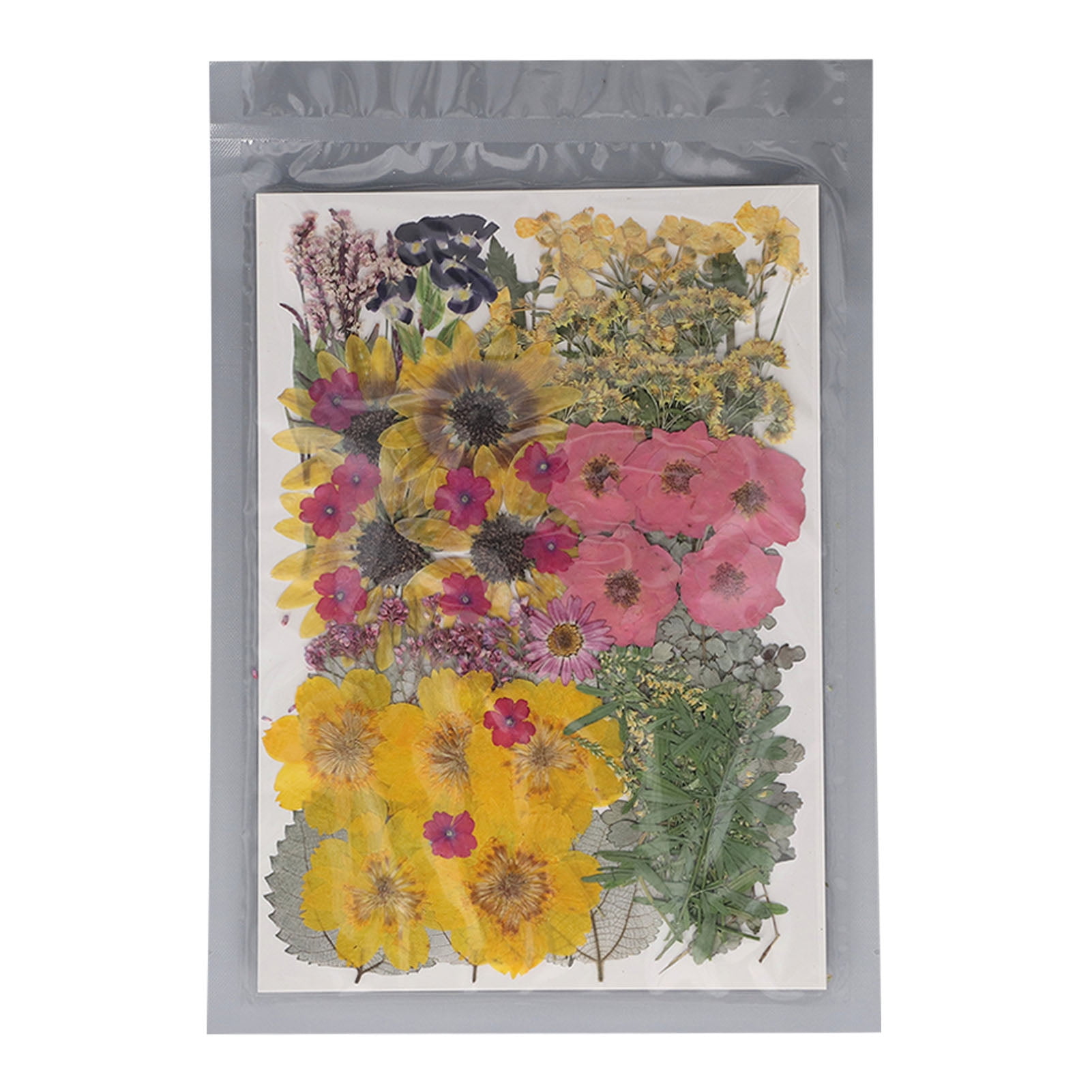 100 Pcs Dried Pressed Flower 13 Types Natural Dry Flowers with 2 ...