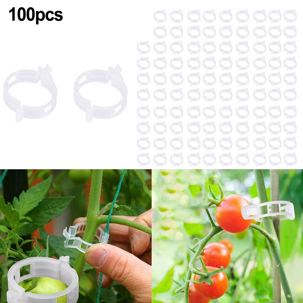 100 Pcs Garden Ties Tomato Trellis Stake Plant Support Clips Veggie ...